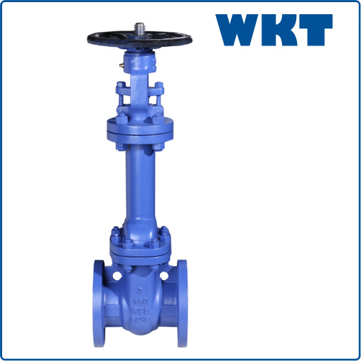 DIN Bellows Seal Gate Valve - Gate Valves | WKT VALVES CO.,LTD.